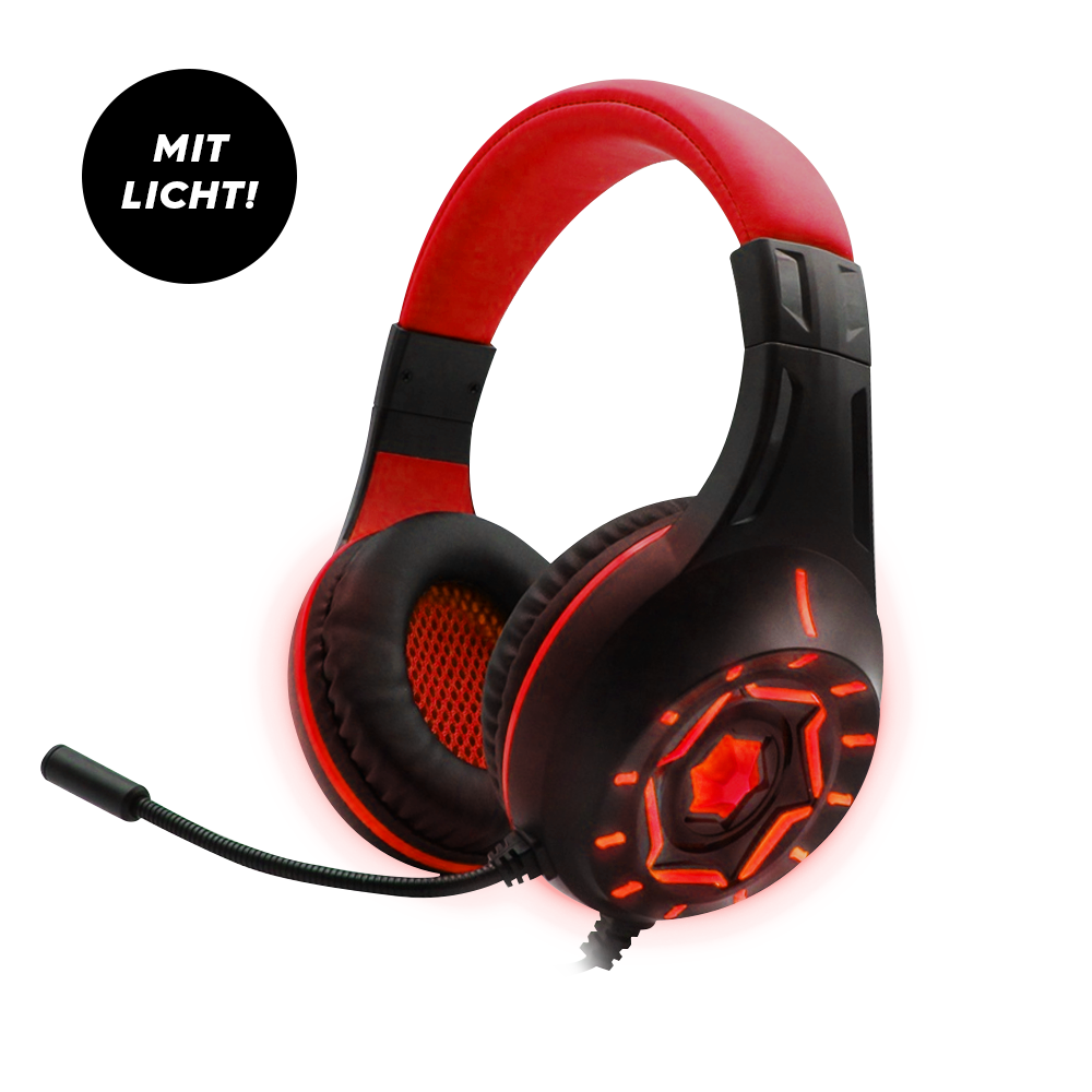 RAIDER HS2 PRO GAMING